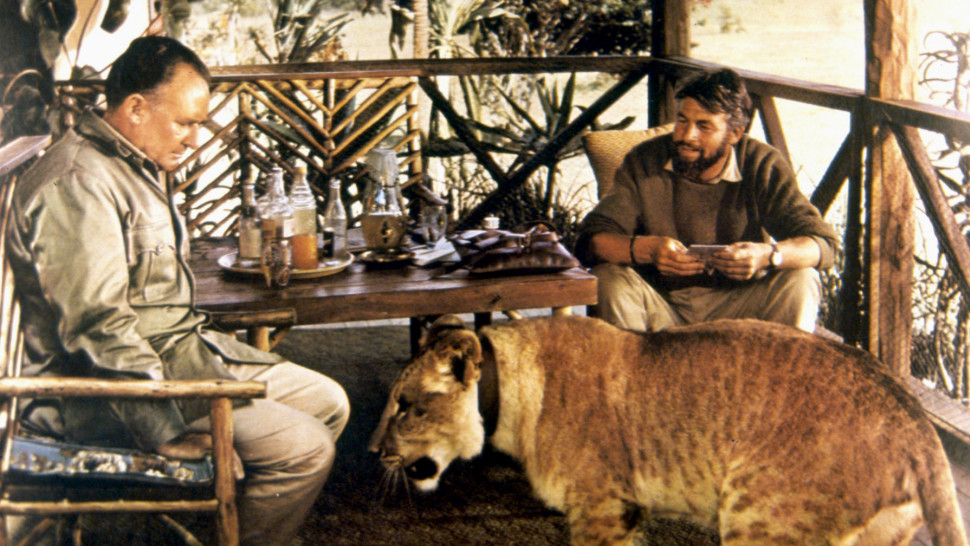 Film - Born Free/Living Free - Into Film