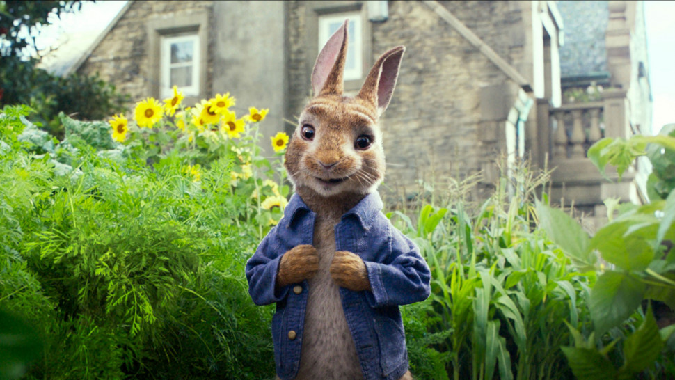 Film - Peter Rabbit - Into Film